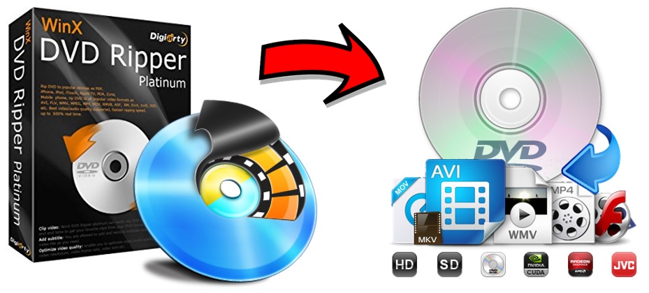 How to Rip and Digitize DVDs in Windows in a Few Clicks Complete Guide ...